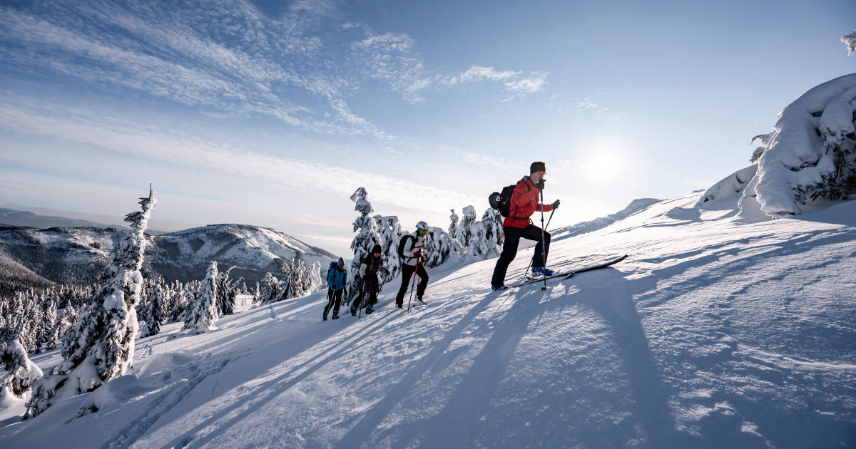Die Zahlen der Woche - KW 50 - sazsport.de