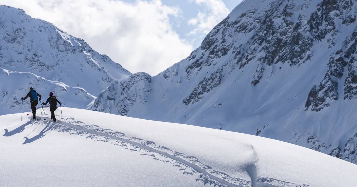 Sport 2000 Österreich meldet Umsatzplus von 14 Prozent - sazsport.de